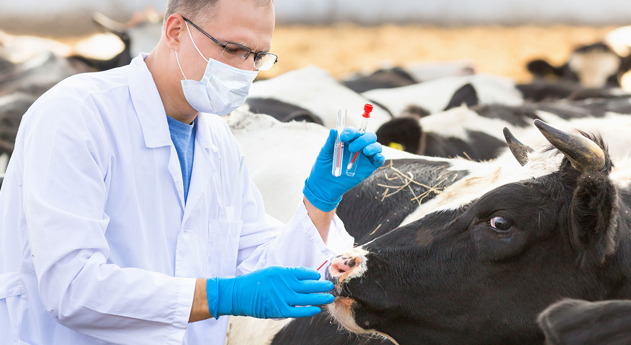 La OIE presenta un informe de la situación actual de la sanidad animal en el mundo - ICOVV