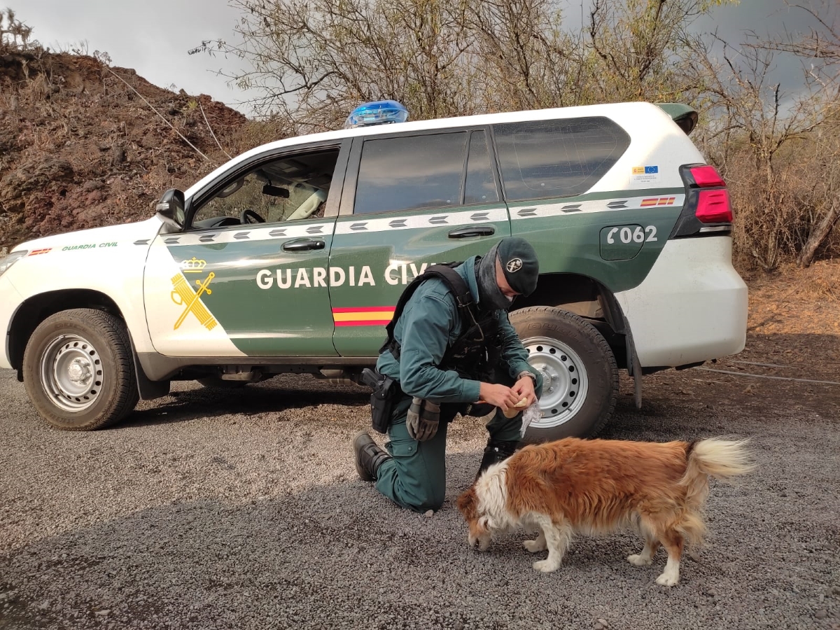 El CVCV presenta un protocolo de rescate de animales en caso de ...
