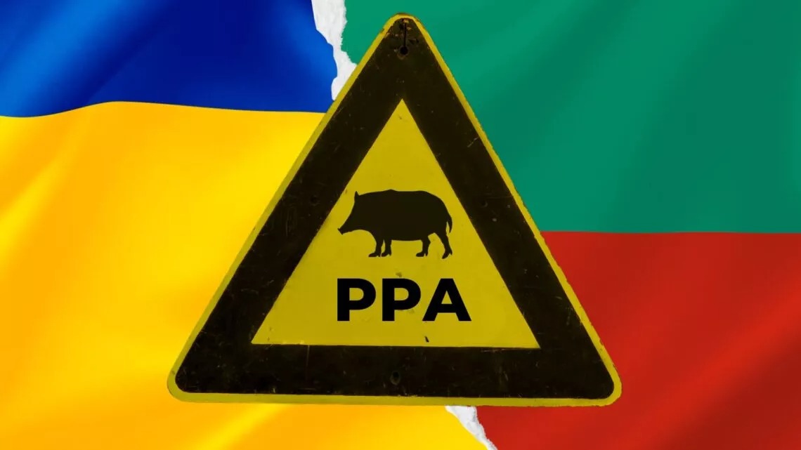 Notifican la presencia de Peste Porcina Africana en cerdos domésticos ...